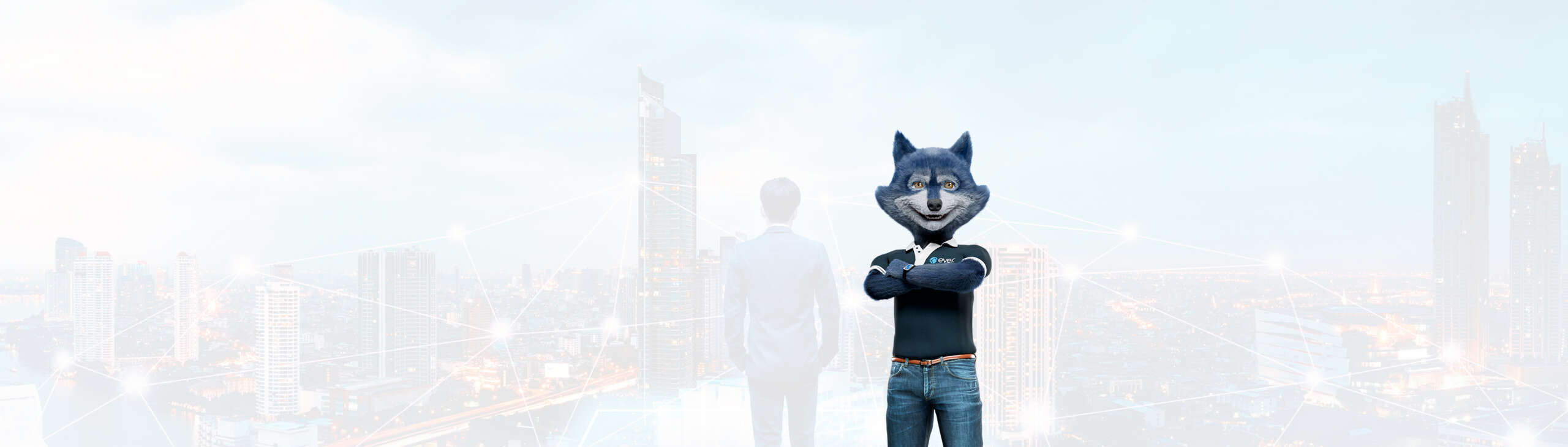 Agentes – Ever Insurance
